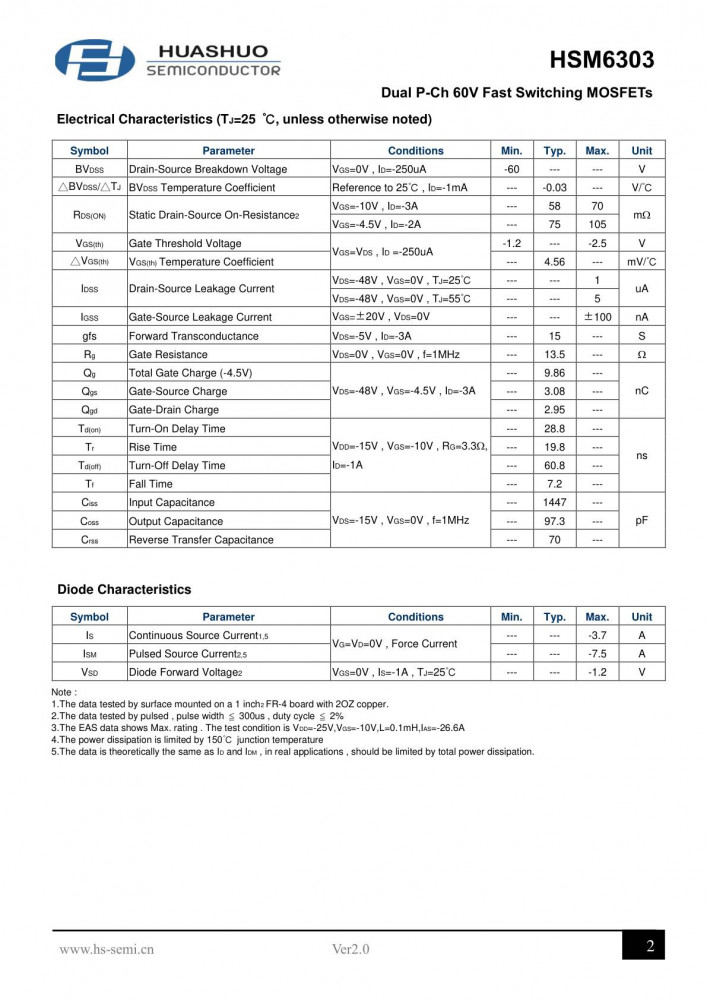 HSM6303 datasheet page 2