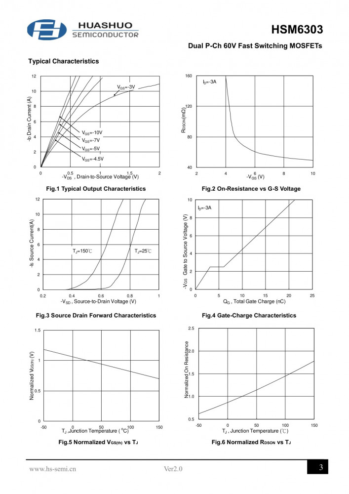 HSM6303 datasheet page 3