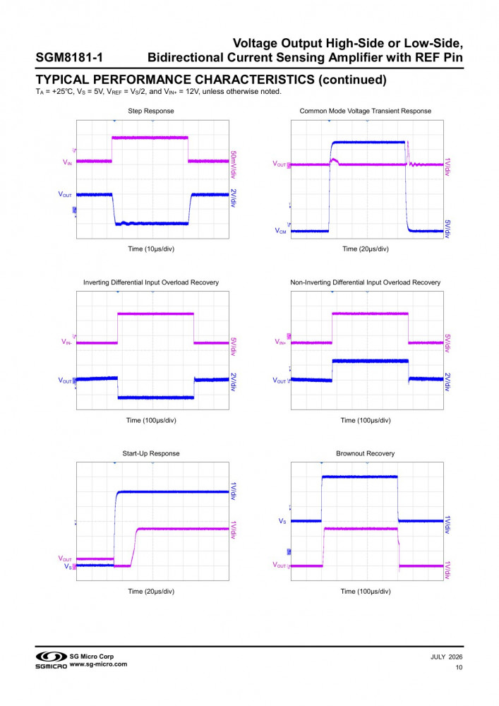 SGM8181-1 datasheet page 10