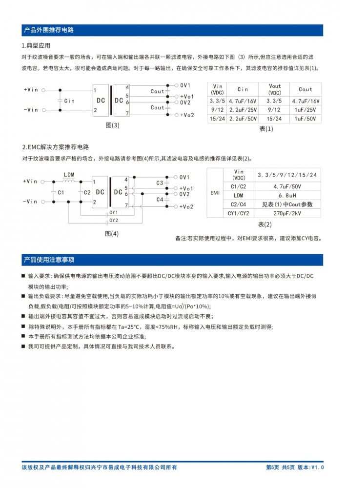 EVISUN D050505S-1WR3 datasheet page 5