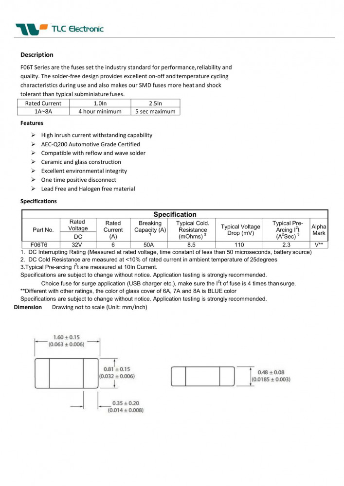 F06T6 datasheet page 2