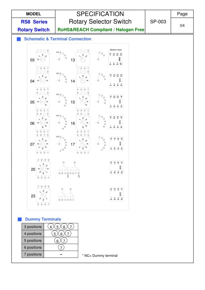 BIWIN RS8 Series datasheet page 3
