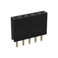 B254YP-ZDxP for sale