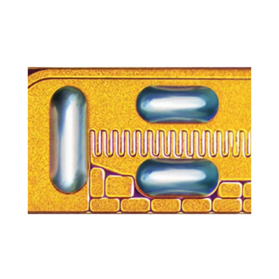 EPC EPC8004