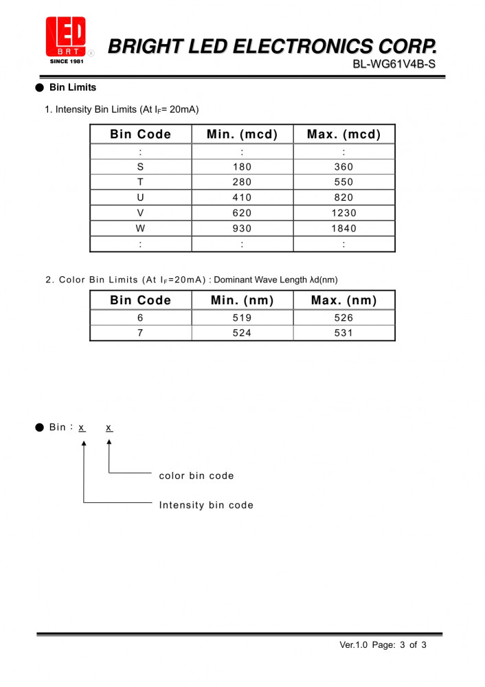 BL-WG61V4B-S datasheet page 3