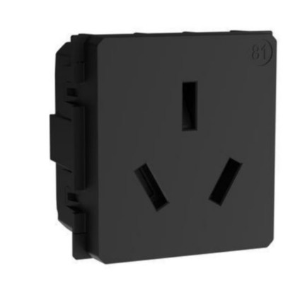 Living Now - socket 2P+E 16A Chinese standard, 2 modules for sale