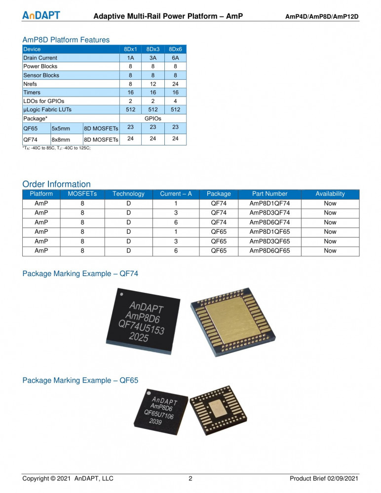 AMP8DS6QF74 technical document page 2
