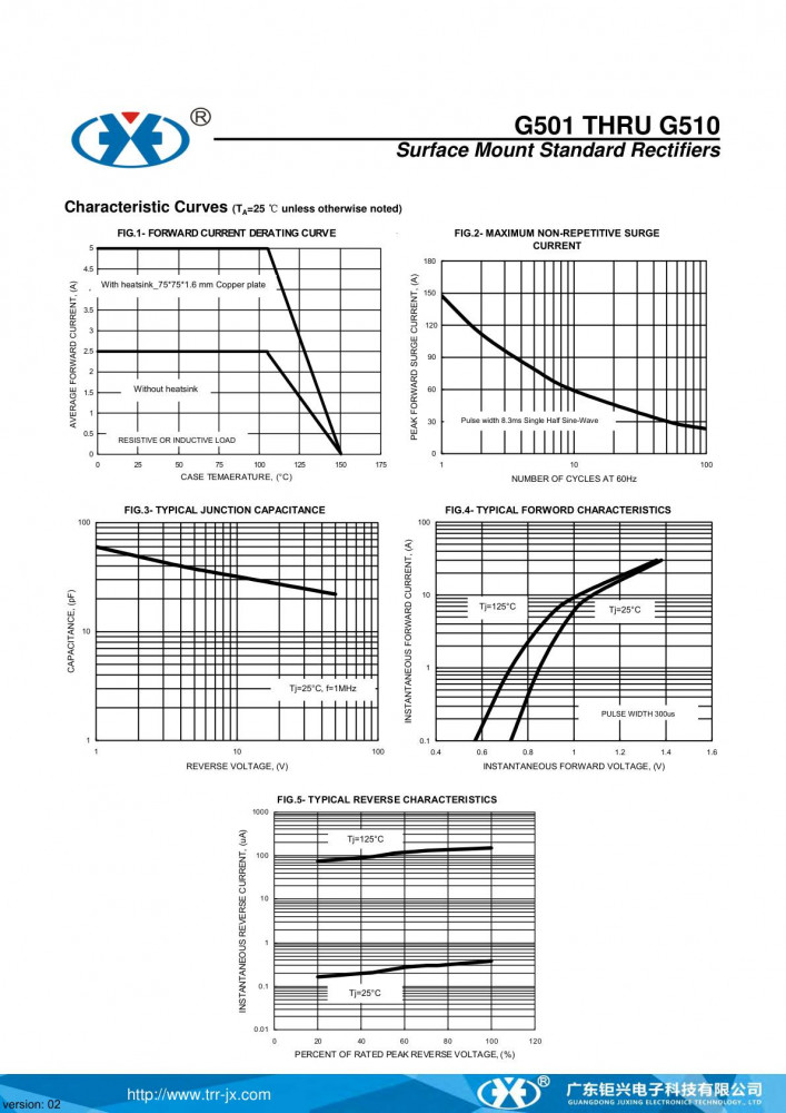 G510DS datasheet page 2