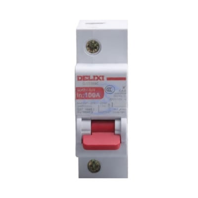 Delixi Electric DZ47V1254D80 Miniature Circuit Breaker