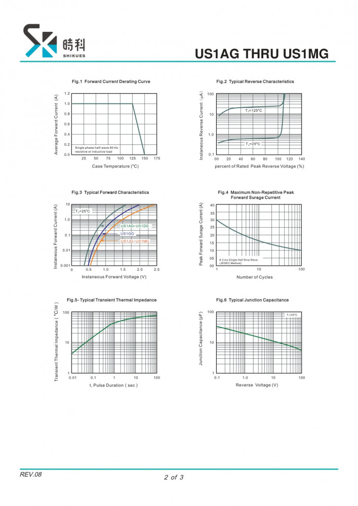 US1GG datasheet page 2