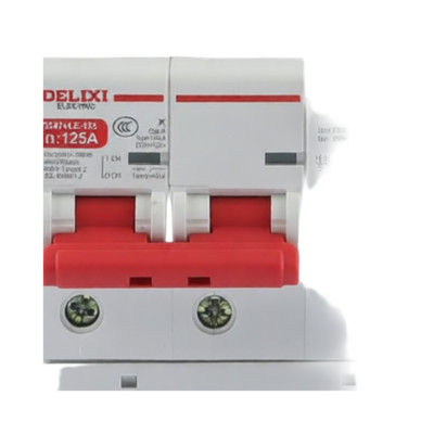 Delixi Electric DZ47LE1252D125 Miniature Residual Current Circuit Breaker