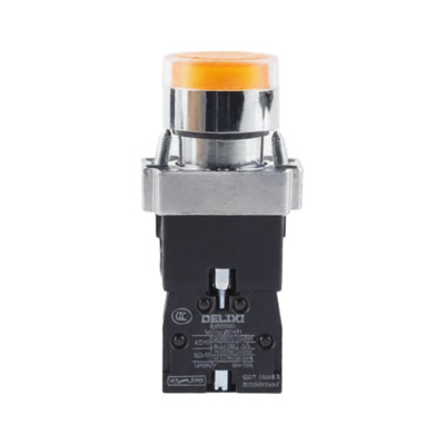 Delixi Electric LAY5SBD23 Pushbutton Switch