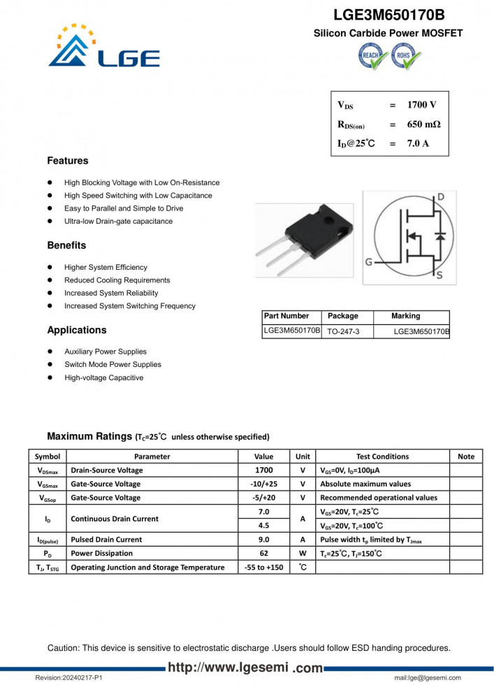 LGE3M650170B datasheet page 1