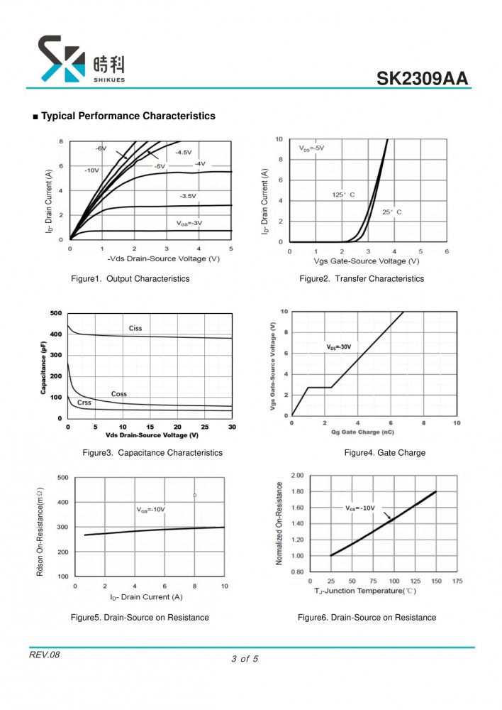 SK2309AA datasheet page 3