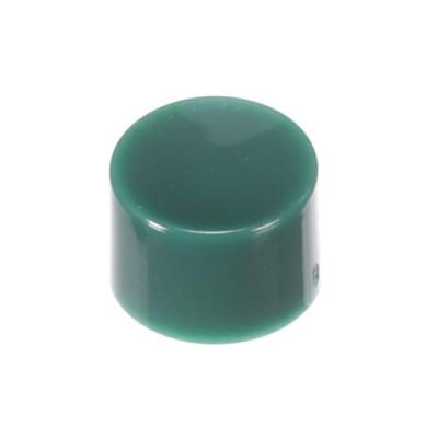E-Switch 1RDGR Switch Accessory Chip