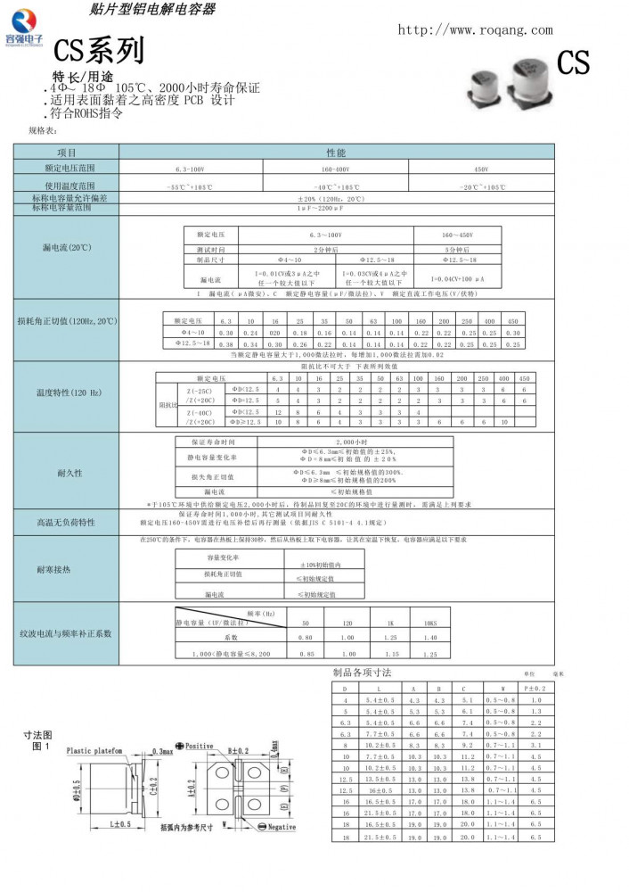 ROQANG CS series datasheet page 1
