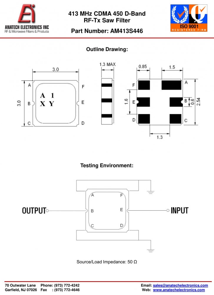 AM413S446 datasheet page 2