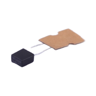 CONQUER MST 4A 300V Fuse