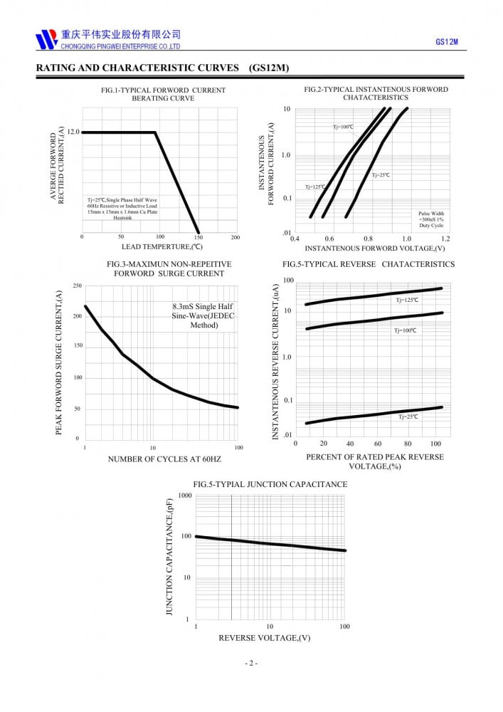 GS12M datasheet page 2
