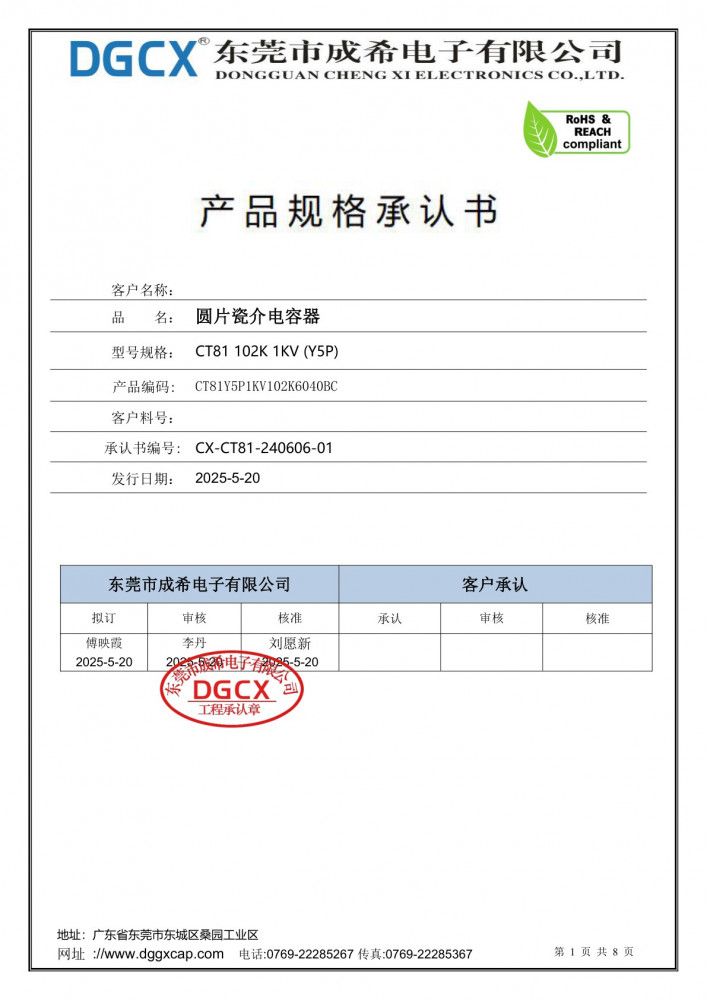 DGCX CT81Y5P1KV102K6040BC specification page 1