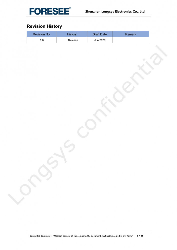 FORESEE datasheet page 3