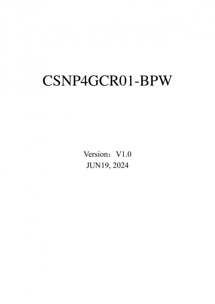 CSNP4GCR01-BPW datasheet page 1