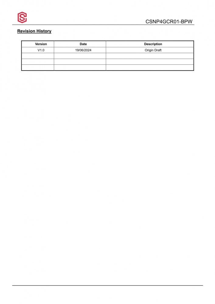 CSNP4GCR01-BPW datasheet page 2