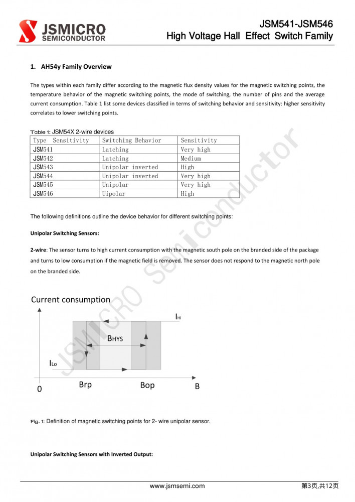 JSM541 datasheet page 3