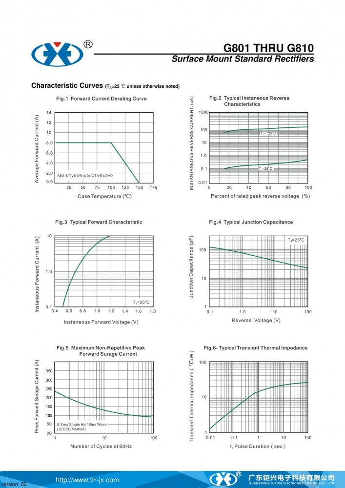 JUXING G810DS datasheet page 2