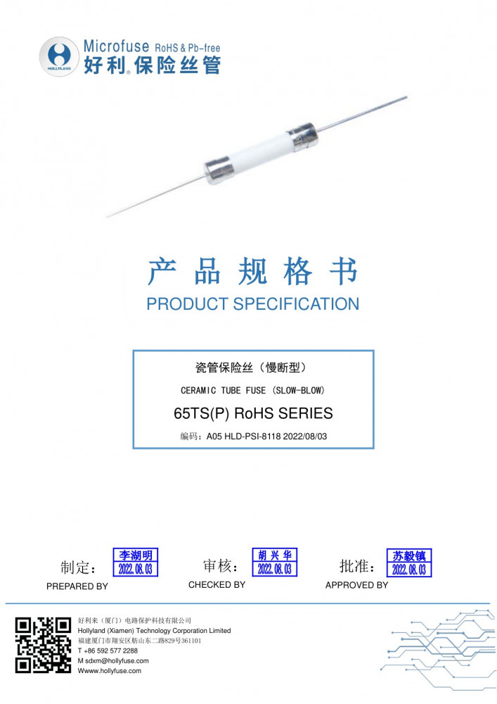HOLLY 65TS(P) datasheet page 1