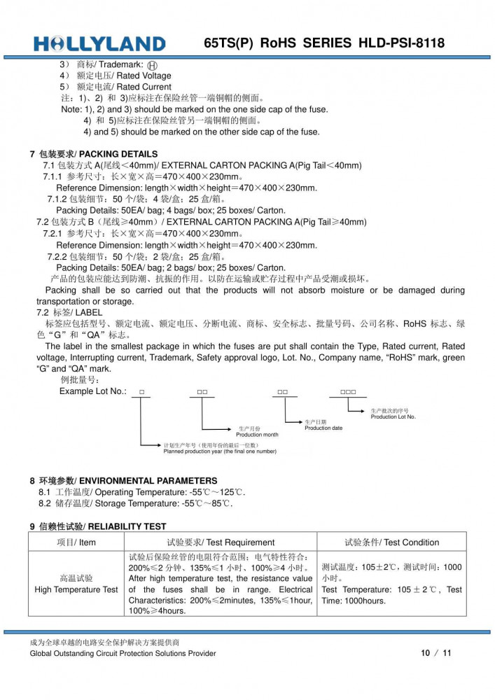 HOLLY 65TS(P) datasheet page 10
