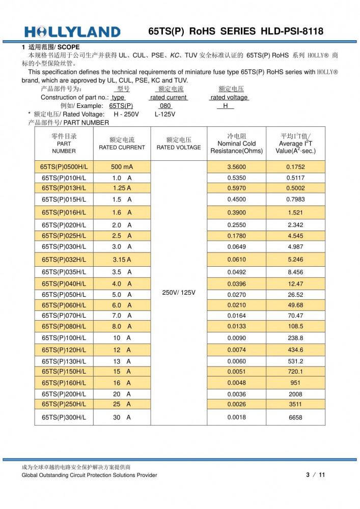 HOLLY 65TS(P) datasheet page 3