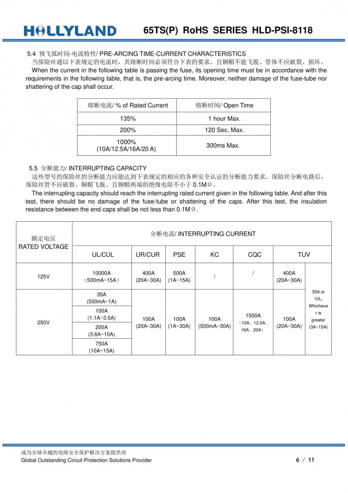 HOLLY 65TS(P) datasheet page 6