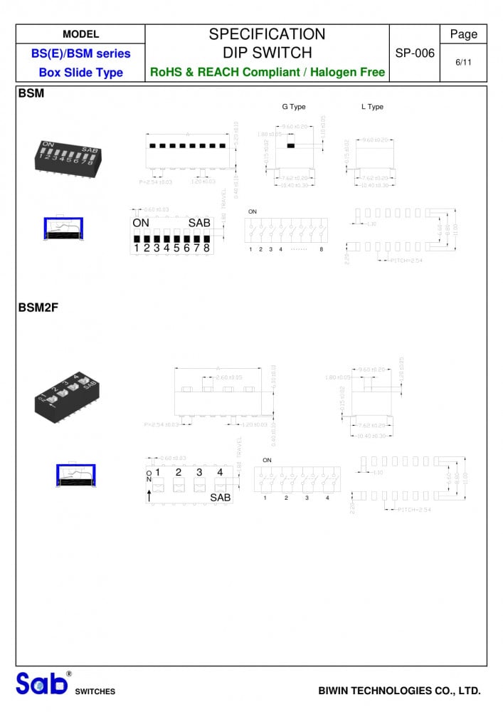 BIWIN BSE04GR datasheet page 6