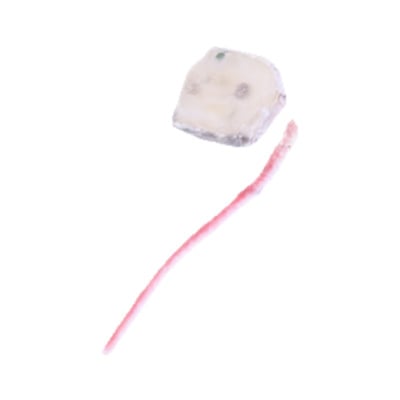 LITEON LTST-C193KGKT-5A Discrete LED Indication Chip