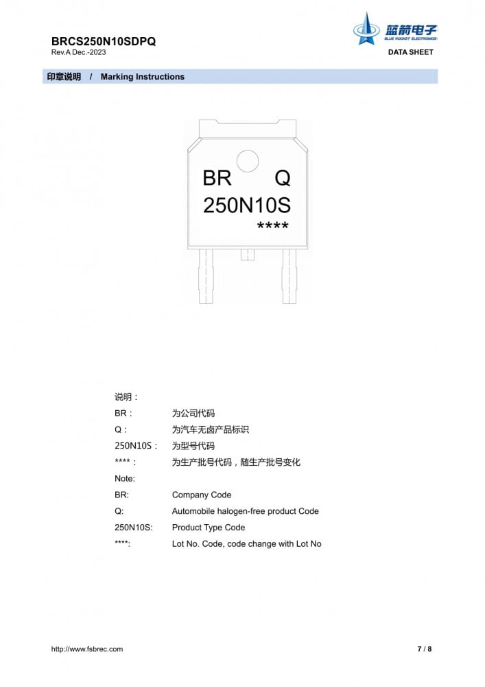 BRCS250N10SDPQ datasheet page 7