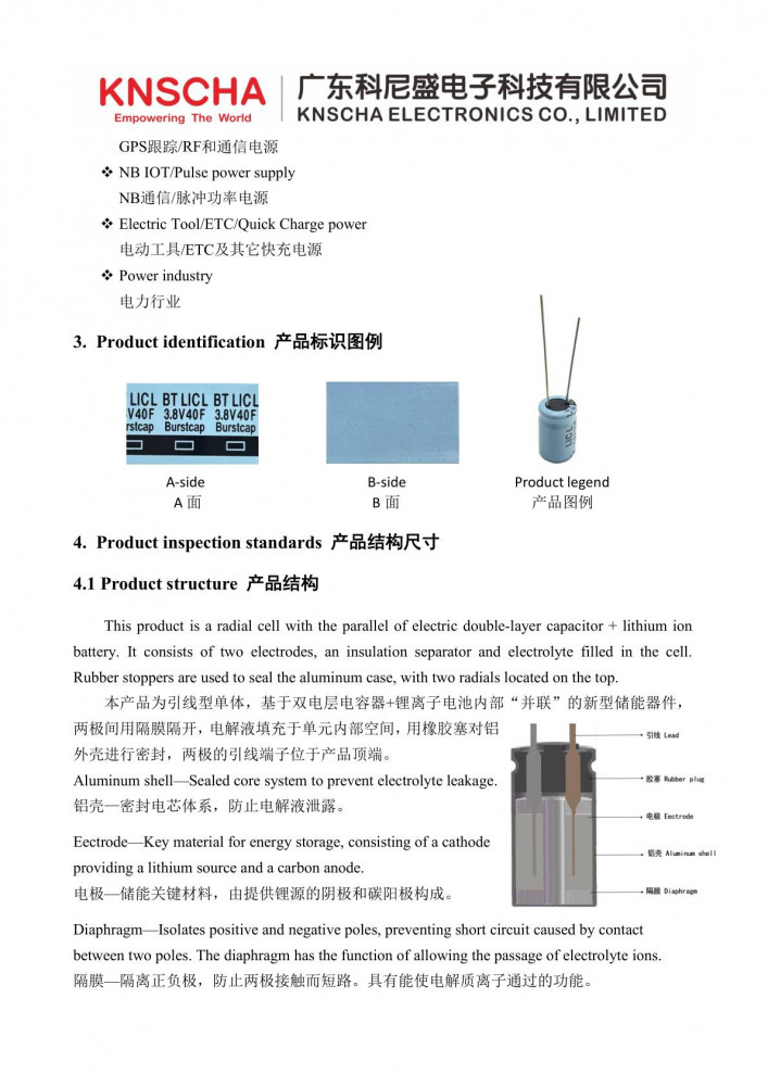 LIC1013N3R8C030 document page 3
