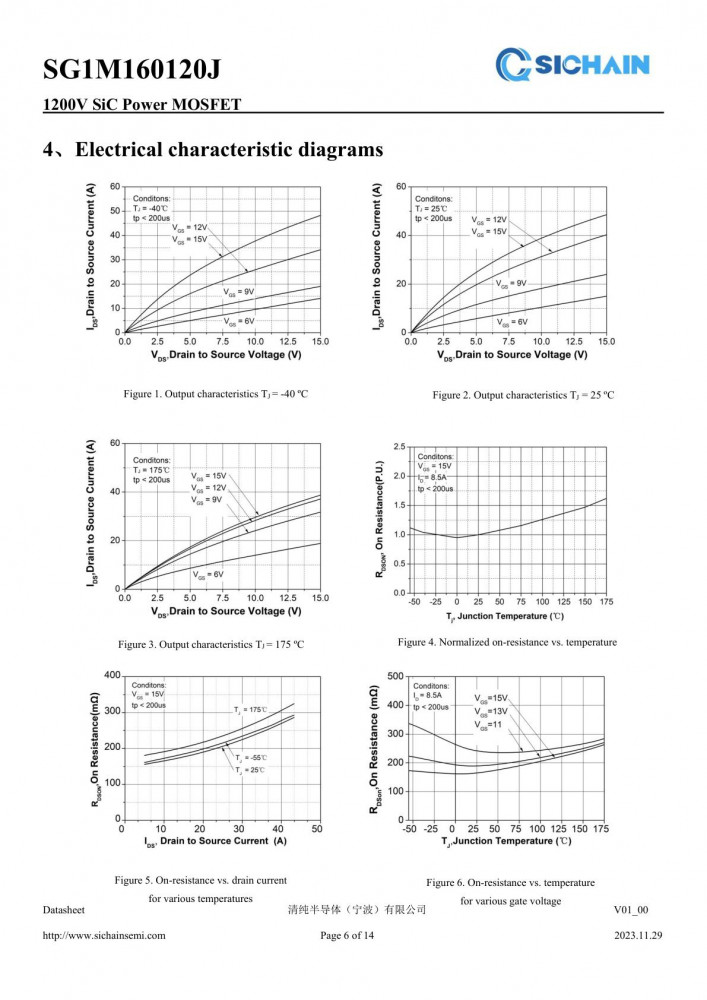 SG1M160120J datasheet page 6