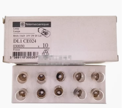 Schneider DL1CE024 Switch Accessory Chip for sale