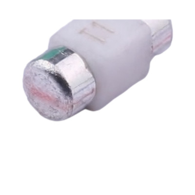 HOLLY 06T-010L1 Fuse