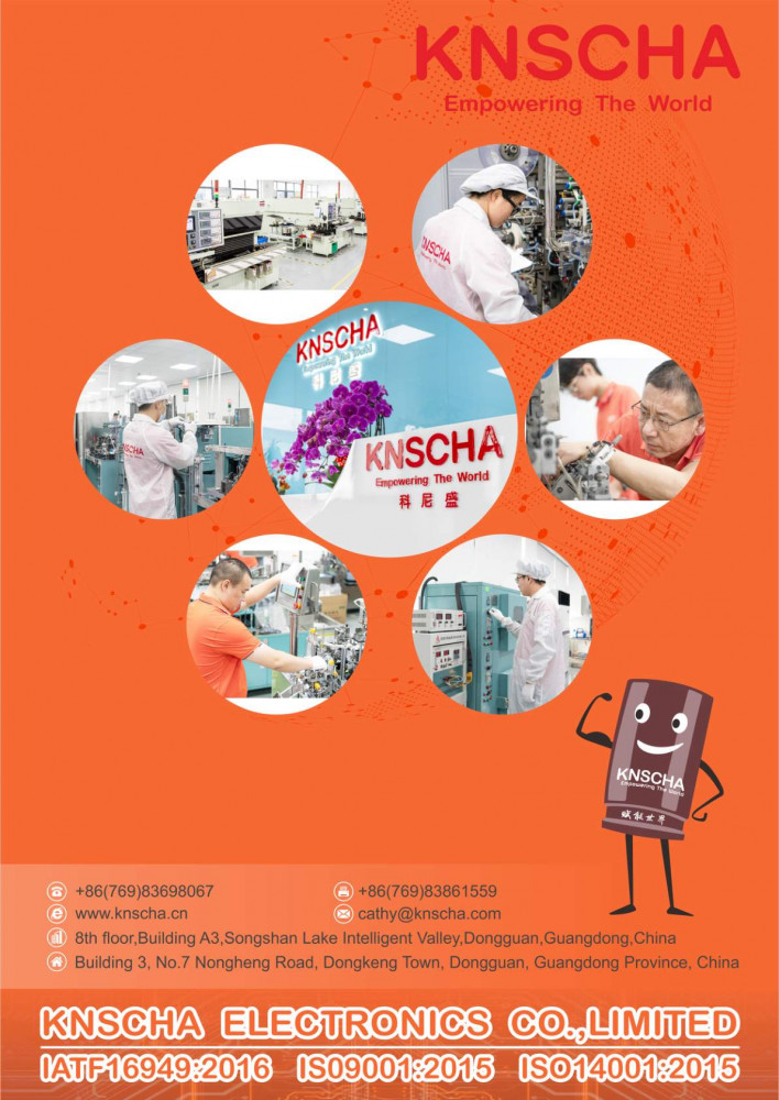 206RV196 datasheet page 3