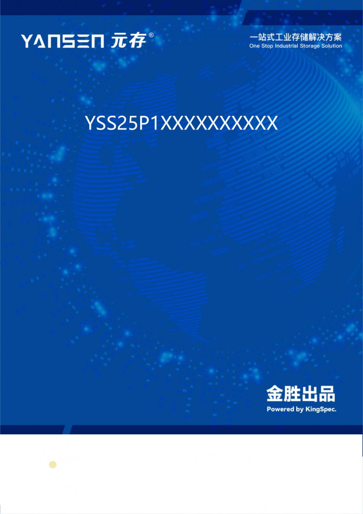 YSS25P1MT064CNNNN technical document page 1