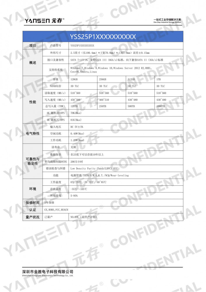 YSS25P1MT064CNNNN technical document page 2