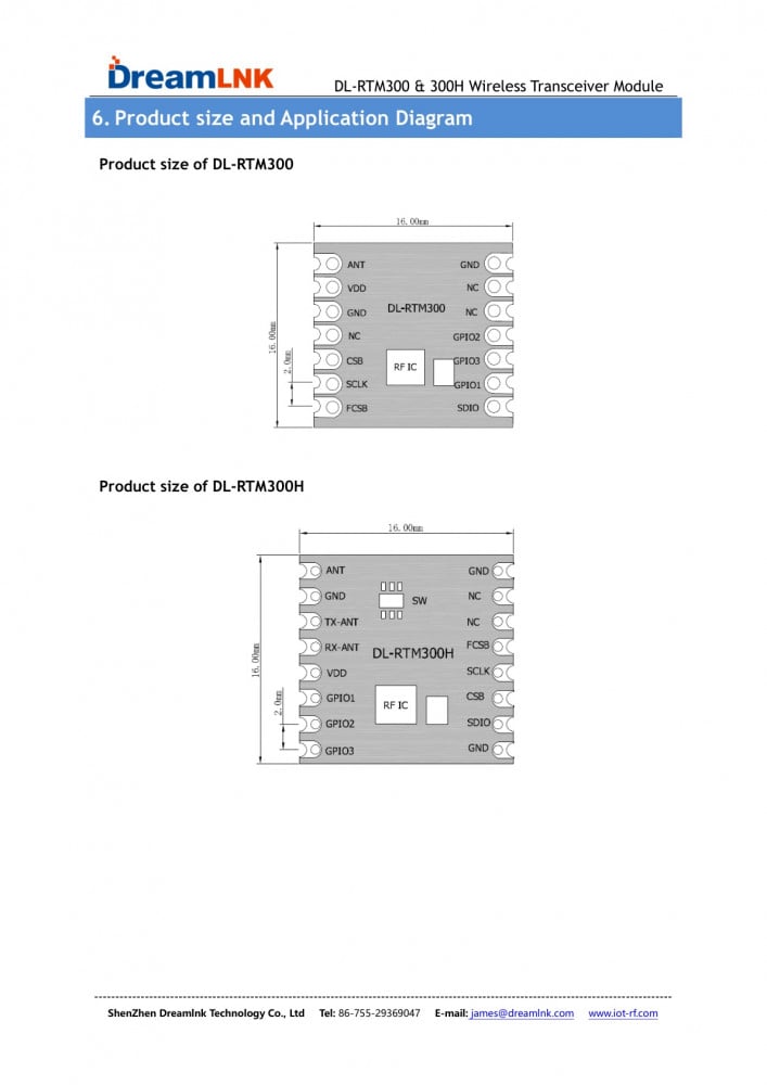 DL-RTM300 datasheet page 8
