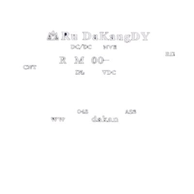 ruidakangDY RLM150-110S48 DC DC Converter Chip