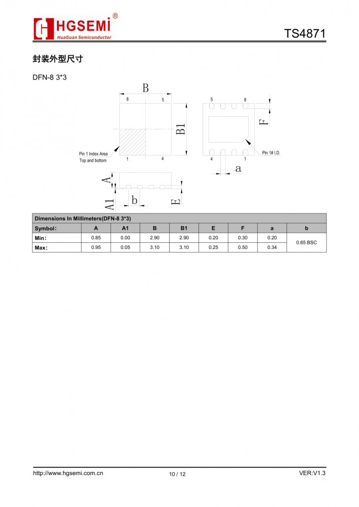 TS4871 technical document page 10