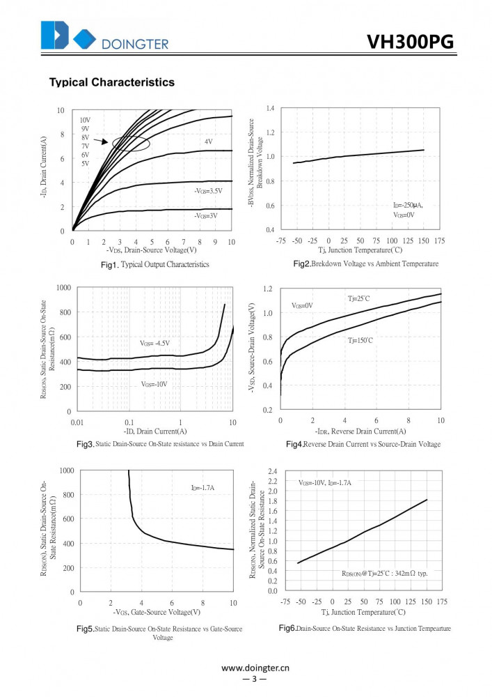VH300PG datasheet page 3