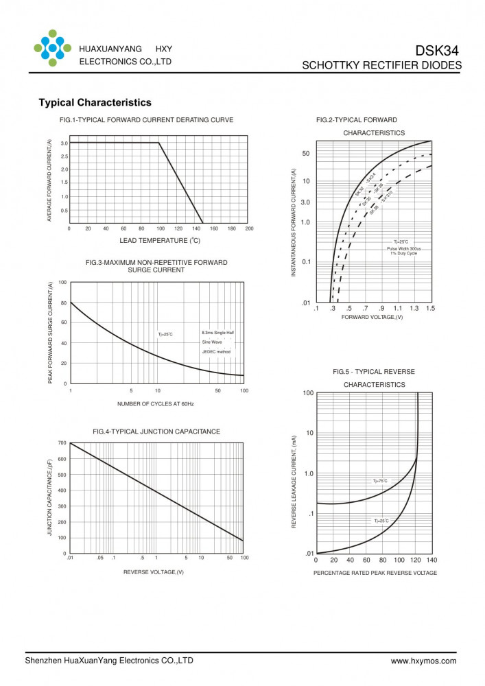 DSK34 technical document page 2