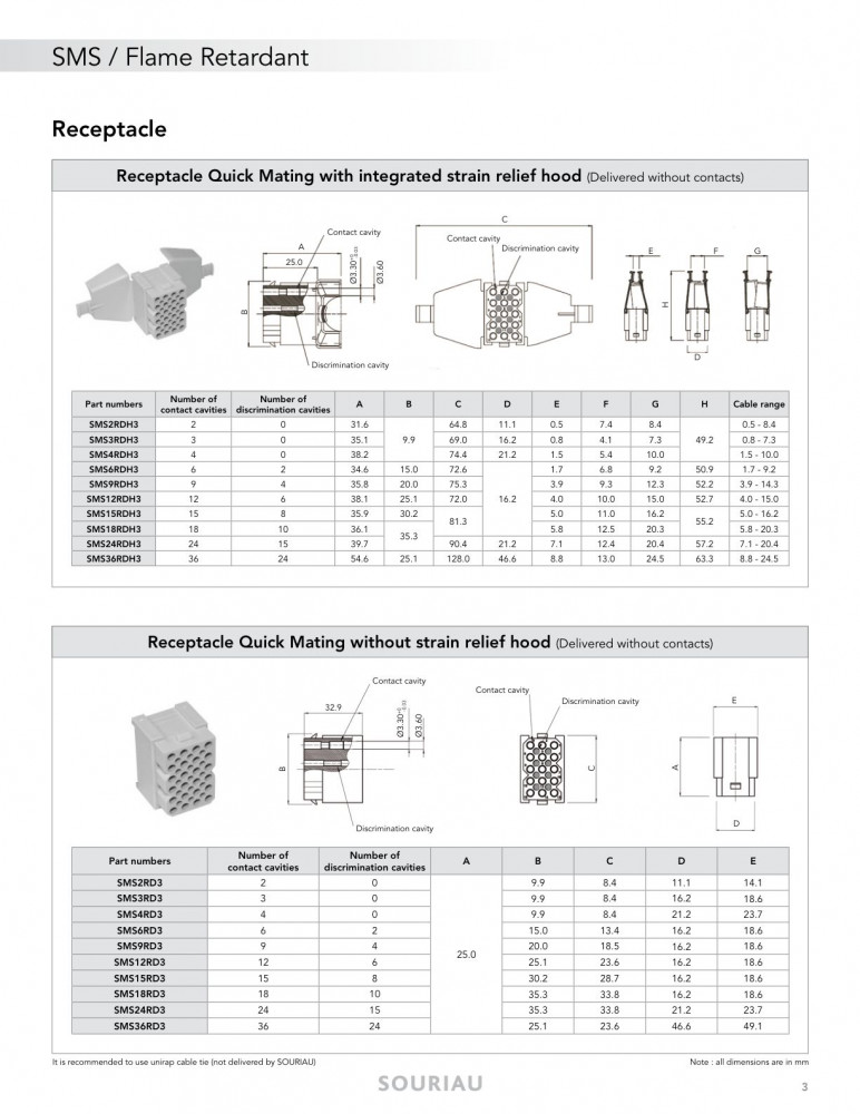 SMSPKE3 technical document page 3