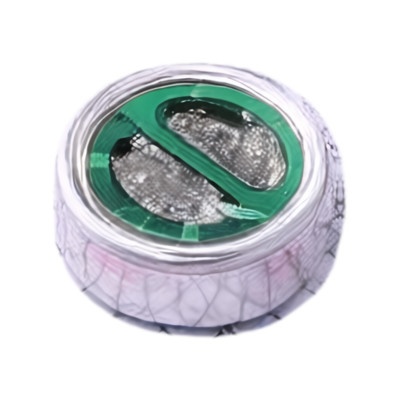 INGHAi GMI6027-66DB Microphone Chip – High-Performance Audio Sensor for Microphones